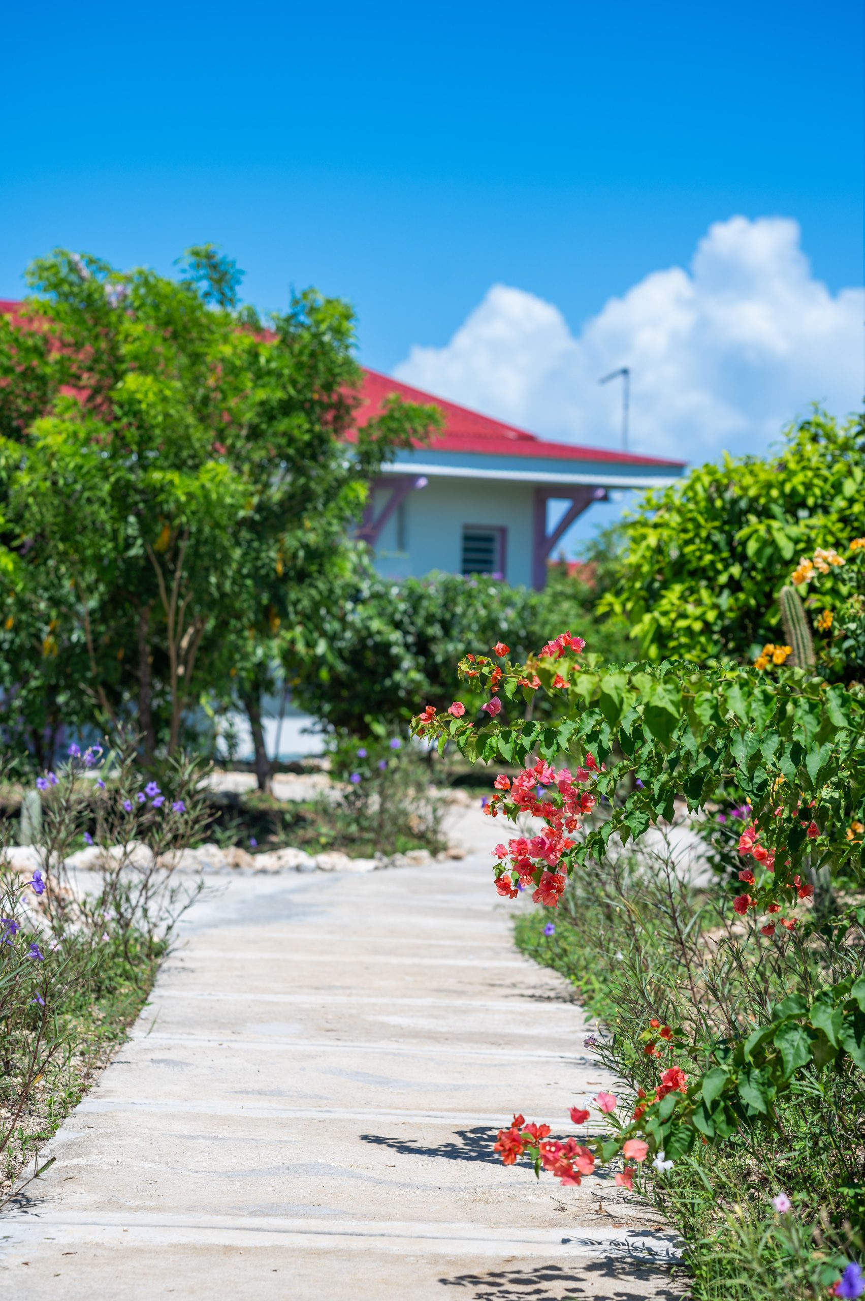 Villa Savonnette en location à Marie-Galante